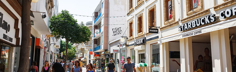 study medicine in cyprus - MSE - Medical Schools Europe